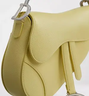 Dior Small Saddle Bag - Nude