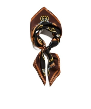 Gucci Equestrian-print Gg Scarf - Multicolor