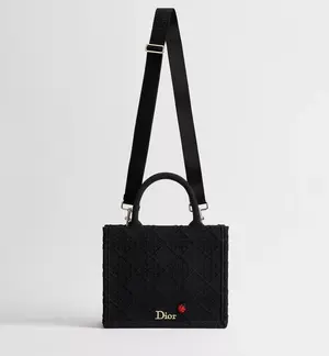 Dior Book Tote Small Tote Bag