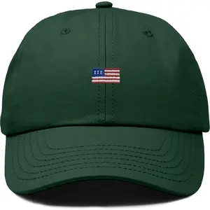 DALIX Usa Flag Embroidered Dad Cap - Olive