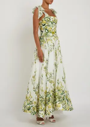 Alice + Olivia Haven Floral Cotton And Silk-blend Maxi Dress - Multicoloured