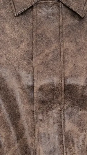 Lioness Kenny Bomber