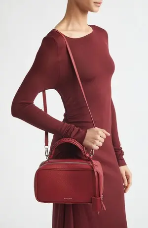 Altuzarra Tack Trunk Crossbody Bag - Deep Cherry