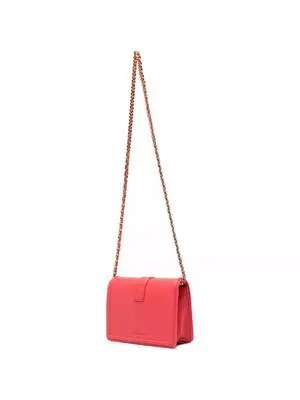 Elisabetta Franchi Logo Plaque Chain-link Shoulder Bag