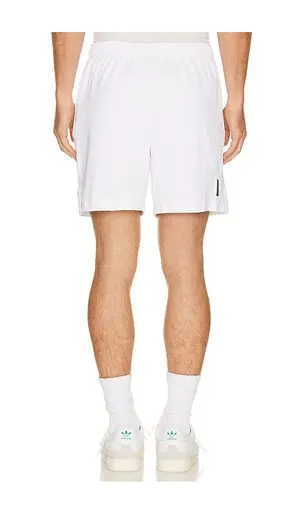 Lacoste Shorts