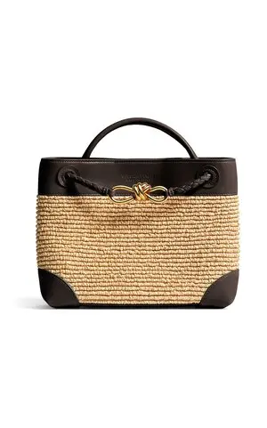 Bottega Veneta Small Andiamo Raffia Bag - Neutral