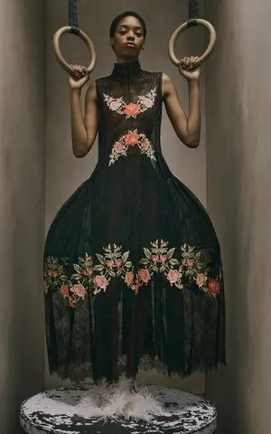 Erdem Embroidered Lace Maxi Dress