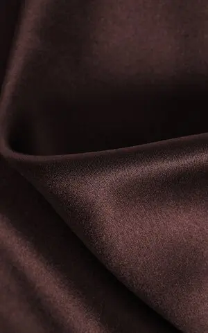 Brandon Maxwell Axel Asymmetrical Draped Silk Stretch Charmeuse Top - Brown