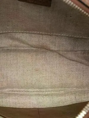 Gucci Gg Canvas Bree Crossbody Bag