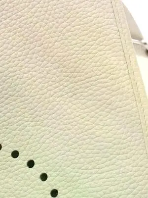 Hermès Evelyn Iii Pm Bag