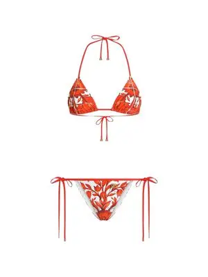Dolce & Gabbana Maiolica Print Bikini Set - Multicolor