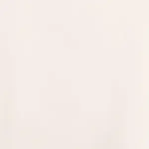 Rag & Bone Neila Shorts