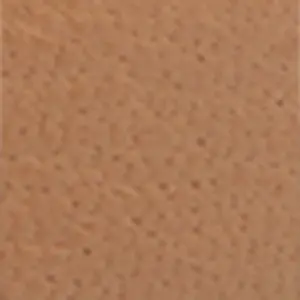 TOM FORD T Belt - Beige