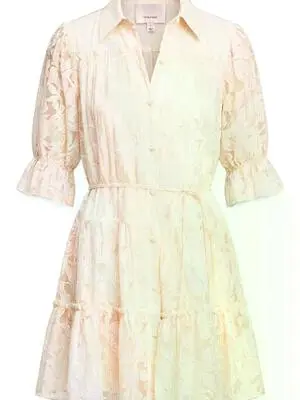 Cinq À Sept Rayla Floral-lace Mini Dress