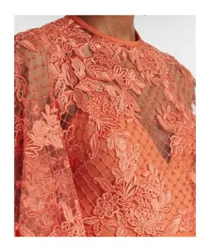 Elie Saab Embroidered Lace And Tulle Gown