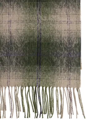 Etro Wool Scarf With Fringes