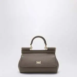 Dolce & Gabbana Dolce & Gabbana Small Sicily Handbag Brown