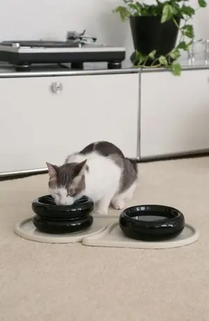 CATENARY Onyx Halo Cat Bowl