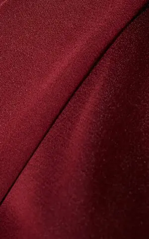 Victoria Beckham Halter Neck Maxi Dress