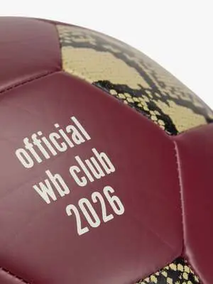 WALES BONNER X ADIDAS Soccer Ball Made From Recycled Material