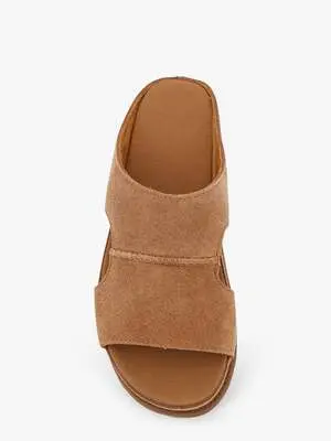 UGG W Goldenstar Suede Sandals
