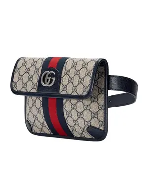 Gucci Ophidia Gg Belt Bag