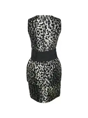 Dolce & Gabbana Leopard-print Sheath Mini Dress