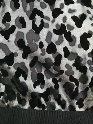 Dolce & Gabbana Leopard-print Sheath Mini Dress
