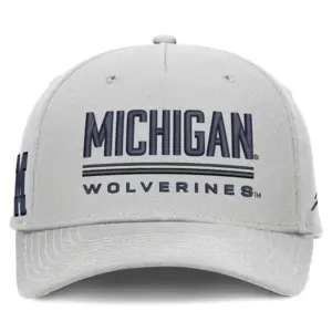JORDAN Michigan Sideline Practice Rise Dri-fit College Adjustable Cap - Grey