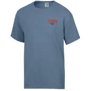 COMFORTWASH Florida Gators Big Name T-shirt