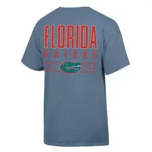 COMFORTWASH Florida Gators Big Name T-shirt