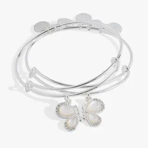 ALEX AND ANI Alex And Ani Perfect Pairs Butterfly Wings Bangle Set Of 2 Silver