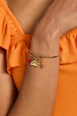 ALEX AND ANI Taco Multi Charm Bangle