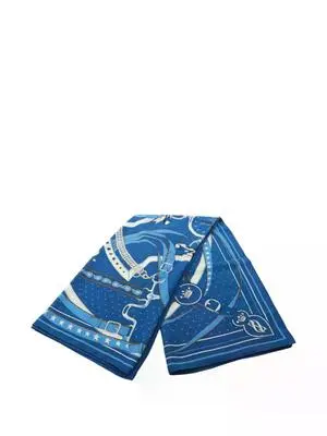 Hermès 2010s La Promenade Du Matin Scarf - Blue