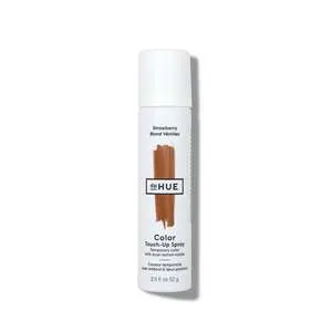 DPHUE Color Touch-up Spray Copper