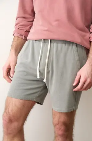 Marine Layer Cloud 9 Terry Shorts