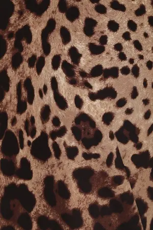 Dolce & Gabbana Sleeveless Leopard Print Dress