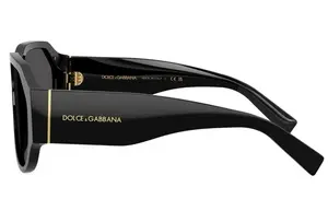 Dolce & Gabbana Full Frame Sunglasses