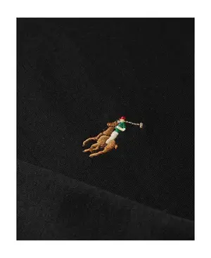 Polo Ralph Lauren Logo Embroidered Long-sleeved Top