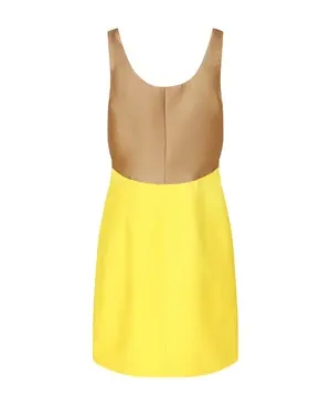 Valentino Garavani Color-blocked Sleeveless Mini Dress
