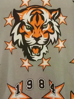 Dolce & Gabbana Tiger-print Star-motif T-shirt