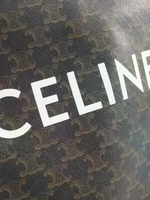 Celine Triomphe Canvas Logo-print Tote Bag