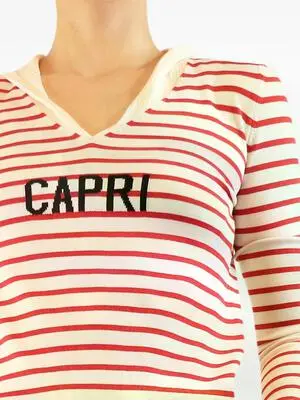 Dior Fine Knit Striped V-neck Sweater