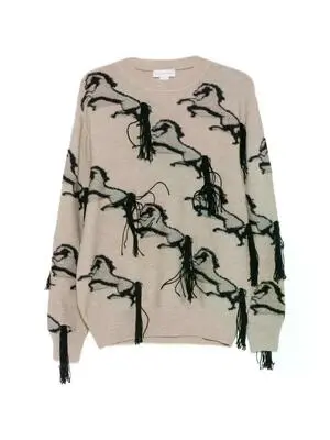 Fringe Sweaters For Women