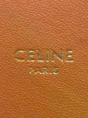 Celine Triomphe Coated Canvas And Calfskin Crossbody Bag - Brown