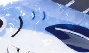 Bp. Minnow Hair Claw Clip