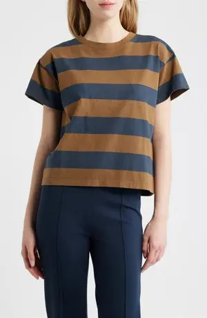 Rag & Bone Kelly Stripe Boxy T-shirt - Cocoa Multi