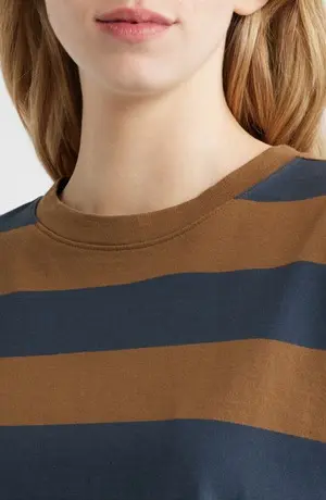 Rag & Bone Kelly Stripe Boxy T-shirt - Cocoa Multi