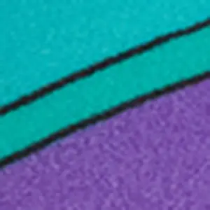 Emilio Pucci Vivara Triangle Bikini Top