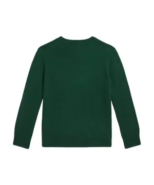 Polo Ralph Lauren Embroidered Pony Crewneck Sweater